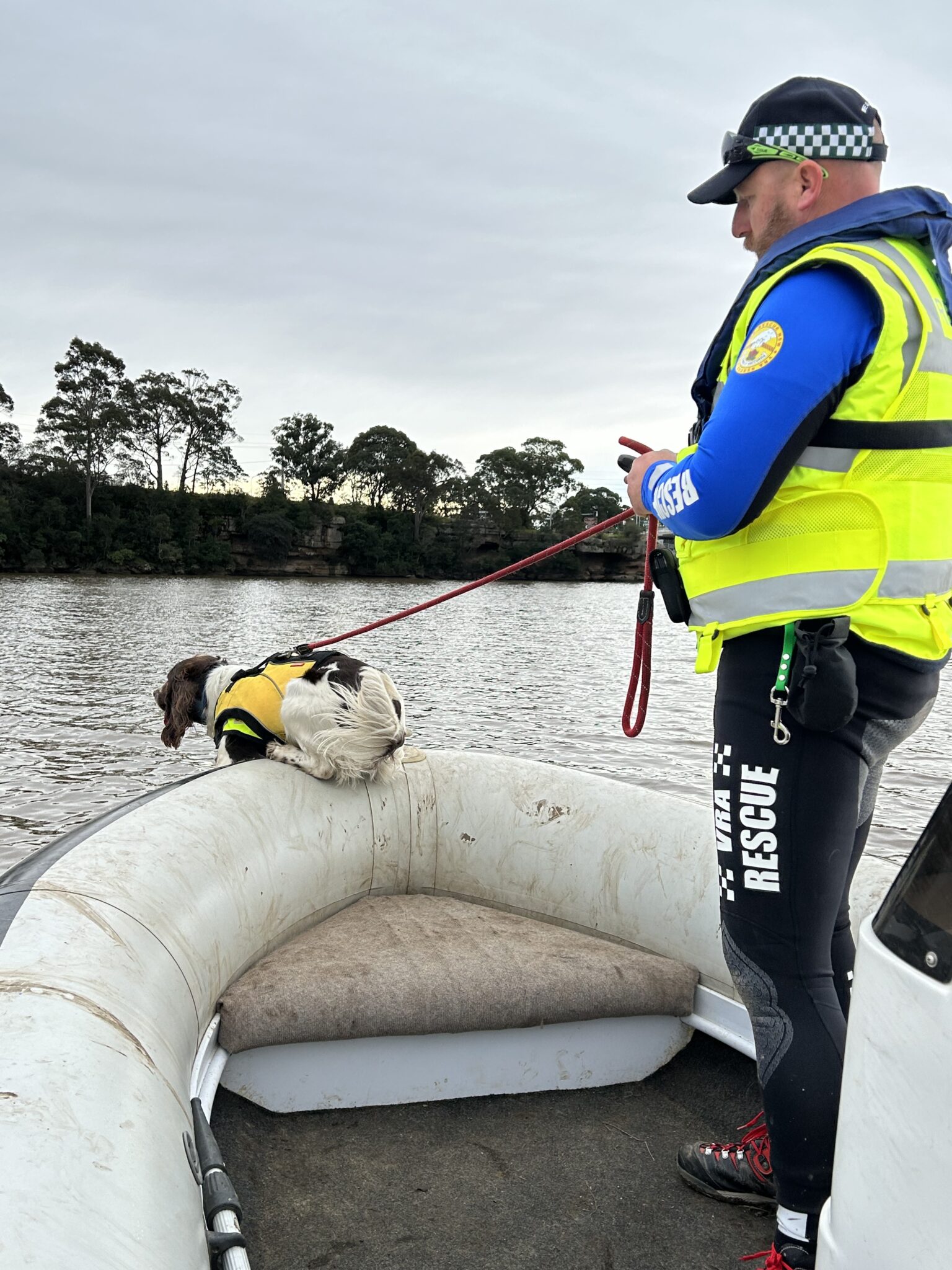 About Us - VRA Rescue NSW Search Dogs